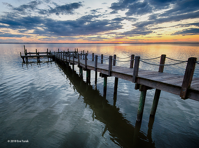Dock of the Bay : SeaDragon & Yellowhouse Gallery